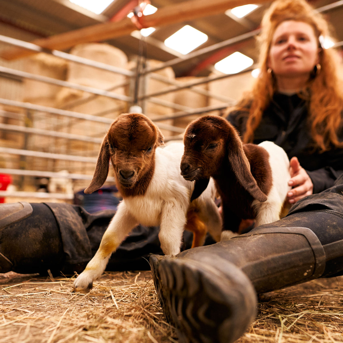 First in series by Zoe Colville 2023 - Muck® Boots UK – MuckbootUK