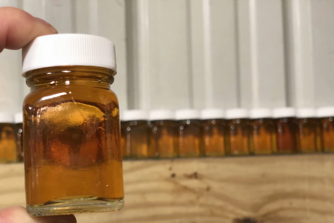 The Making of Maple Syrup - Muck® Boots UK